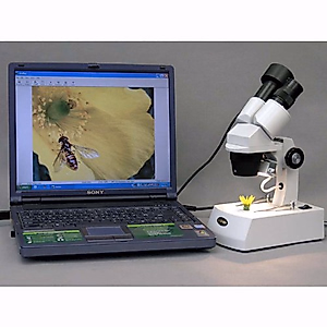 AmScope SE306-AY Binocular Stereo Microscope, WF10x and WF15x Eyepieces, 20X/30X/40X/60X Magnification, 2X and 4X Objectives, Upper and Lower Halogen Lighting, Reversible Black/White Stage Plate, Arm Stand, 120V