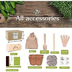 Indoor Herb Garden Starter Kit, Ushine 4 Herb Seeds Grow Kit Basil, Cilantro, Parsley, Mint, DIY Kitchen Plant Grow Kit for Growing Herb Seeds Perfect Gardening Gifts