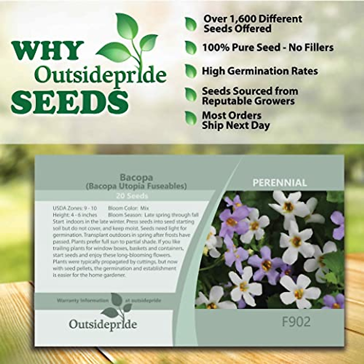 Outsidepride Bacopa Utopia Fuseables Garden Flower & Ground Cover Plant Seed - 20 Seeds