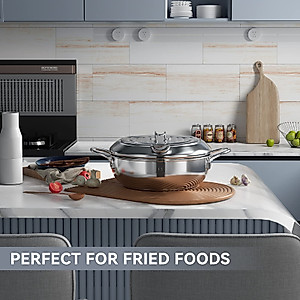 Kerilyn Deep Fryer Pot, 9.4 Inch/3.4 L Janpanese Style Tempura Frying Pot with Lid, 304 Stainless Steel with Temperature Control and Oil Drip Drainer Rack, for Kitchen French Fries, Chicken etc