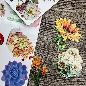 8 Sheets Rub on Transfers for Furniture and Crafts Vintage Flower Plant Rub On Transfer Stickers for Wood Floral Furniture Decals for Home Office Paper Scrapbooking Diary Album Journals DIY Craft