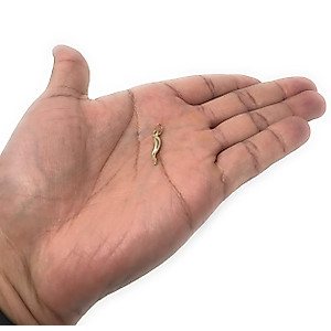 Ioka - 14K Yellow Gold Cornicello Italian Horn Charm Tiny Size Good Luck Pendant For Necklace or Chain