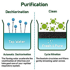 NEPTONION Chameleon Feeding Kit, Come with a Hookable Feeding Bowl and a Reptile Water Feeder, Perfect for Leaving Your pet Whilst on Vacation