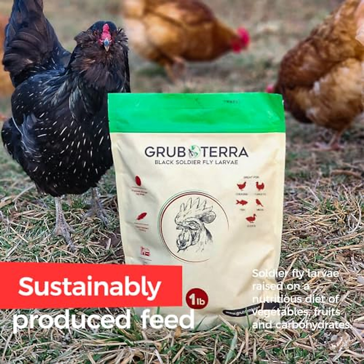 GrubTerra Dried Black Soldier Fly Larvae, Non-GMO Healthy Chicken Treats for Chicken, Ducks, Turkeys and Other Wild Birds with 75x More Calcium Than Dried Mealworms. (5lb)
