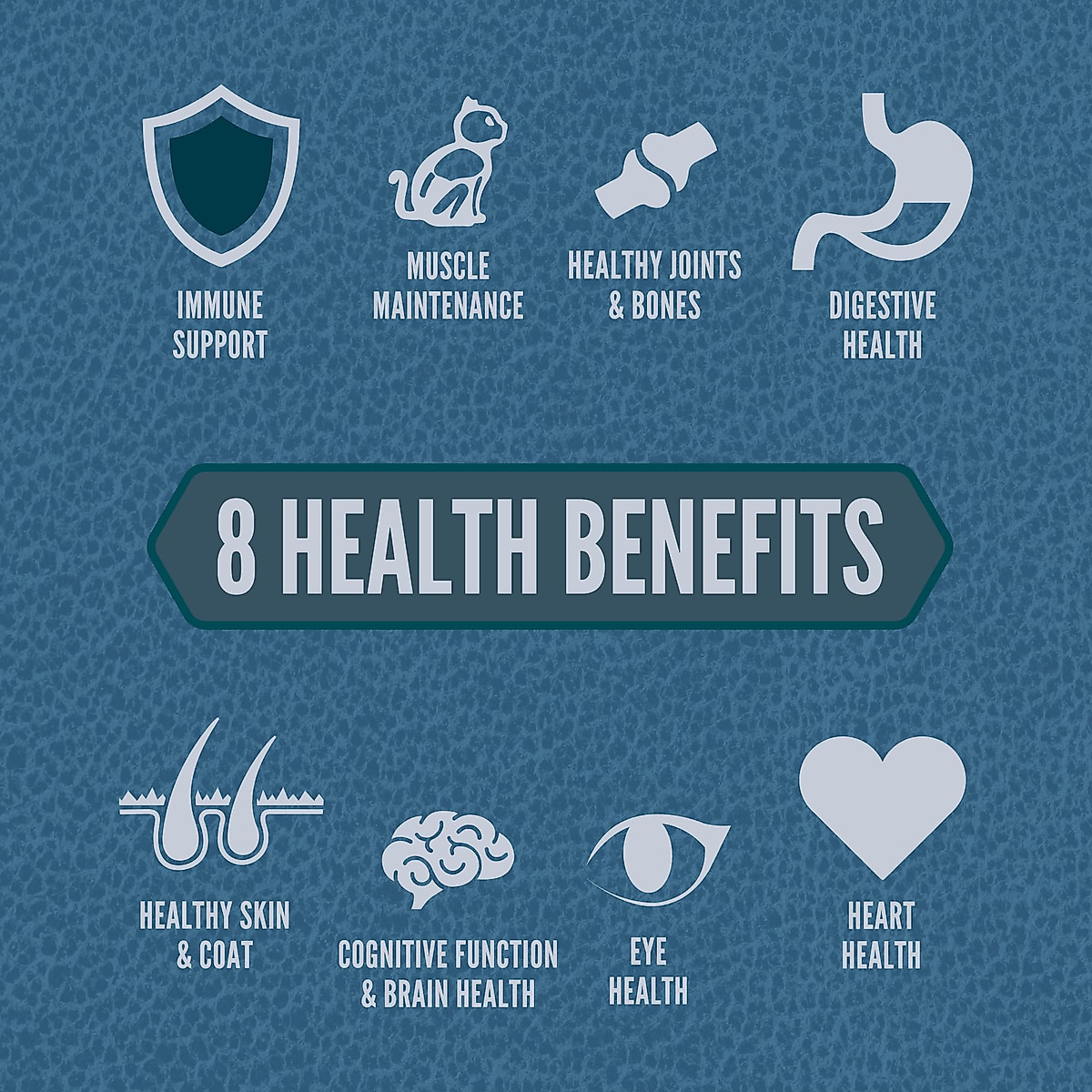 ORIJEN GUARDIAN 8 Dry Cat Food, Grain Free Cat Food for Adult Cats, With Chicken, Salmon and Rabbit, 4lb