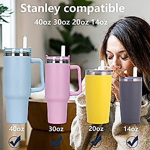 Replacement Straws for Stanley 20 30 40oz Tumbler 12 Inch Clear Reusable Straws with Long Cleaning Brush for 40 oz 30 oz Adventure Quencher Travel Tumbler Cup