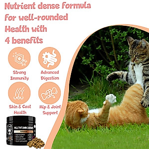 V-EST Cat Supplements - Lysine for Cats - Cat Supplements & Vitamins- Cat Immune Support, Digestive Support - Sneezing Relief - Lysine Cat Treats - Cat Vitamins for Indoor Cats - Cat Health Supplies
