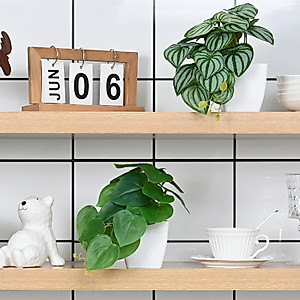 Waipfaru 2Pcs Fake Plants, Realistic Small Fake Plants, Faux Plants Indoor with Plastic Pots, Fake Potted Plants, Artificial Plant for Home Shelf Bathroom Kitchen Room Office Indoor Outdoor Decor