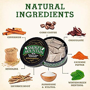 Smokey Mountain Original Pouches - Wintergreen - Tobacco Free and Nicotine Free - 10 Can Box - 20 Per Can