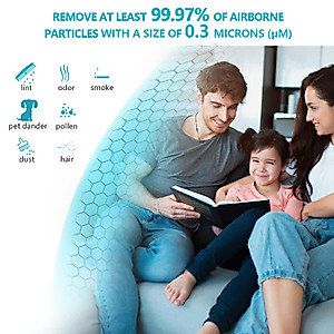 Tredy TD-1300 Air Purifier Replacement Filter, H13 True HEPA, for Pets Hair Smoke Dust Pollen