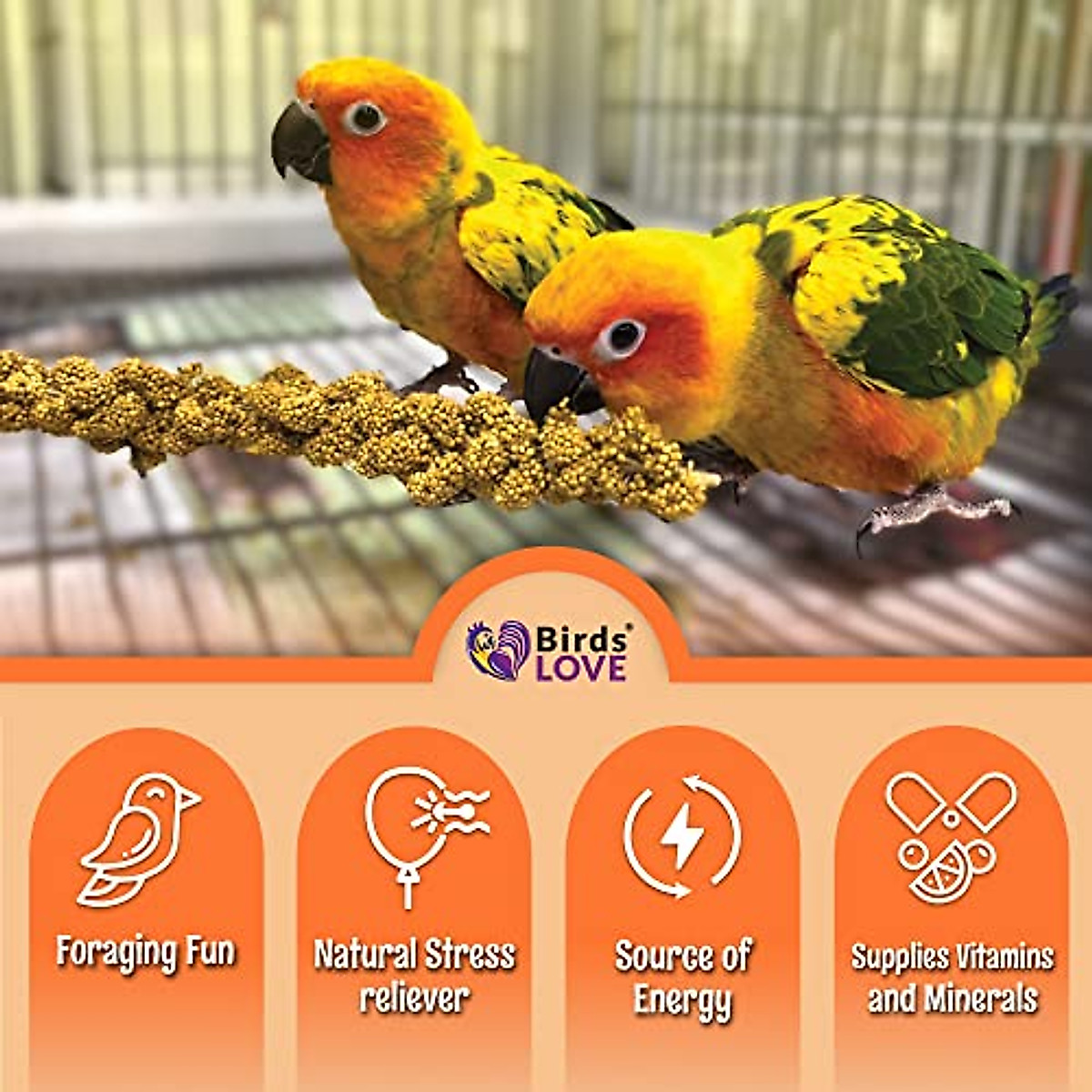 Birds LOVE Wholesome & Lovely Spray Millet GMO Free No Pesticide (No Stems Only Edible Tops) for Parrots Birds Cockatiel Lovebird Parakeet Finch Canary All Parrots Healthy Treat-1lb…