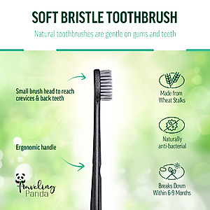 Traveling Panda Wheat Straw Toothbrushes Bulk, Charcoal Infused Soft Bristles Whitening, Travel Toothbrush Kit, Essentials for on The Go Teeth Brushing, 10 Large Brushes