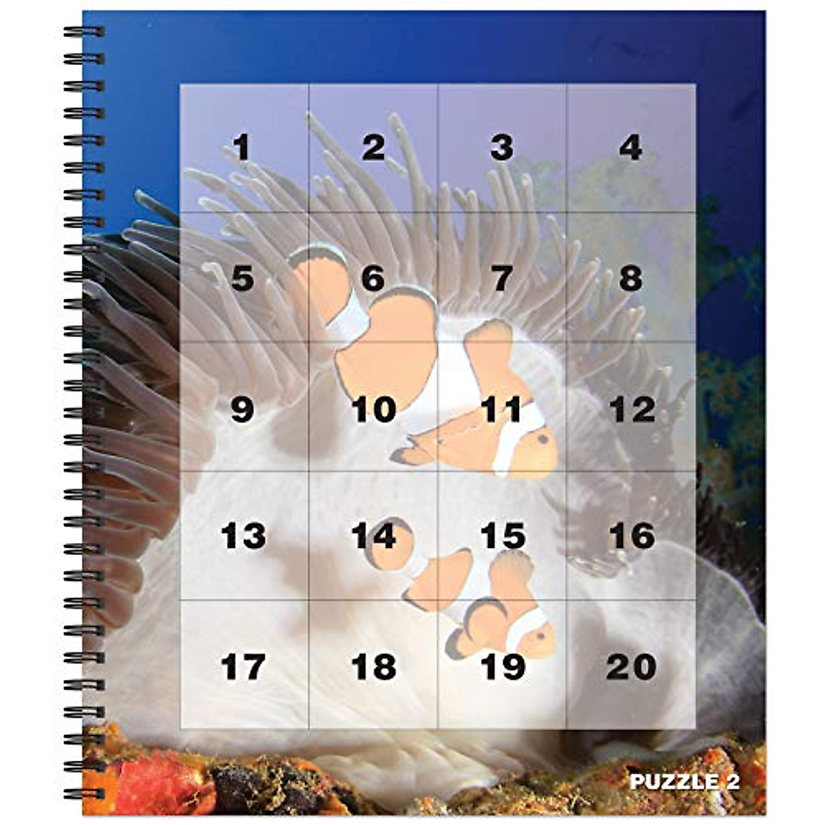 Brain Games - Sticker by Number: Ocean Life (Easy - Square Stickers): Create Beautiful Art With Easy to Use Sticker Fun!