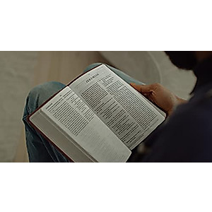 ESV Large Print Thinline Bible (TruTone, Mahogany)