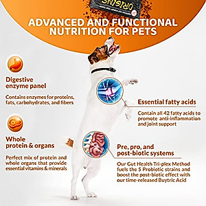 ROGUE PET SCIENCE Origins 5-in-1 Dog Supplement - Powdered Food Topper w/Natural Omega 3 Fish Oil - Supports Healthy Digestion, Skin, and Coat - Helps Reduce Itching & Joint Inflammation (5 lbs)