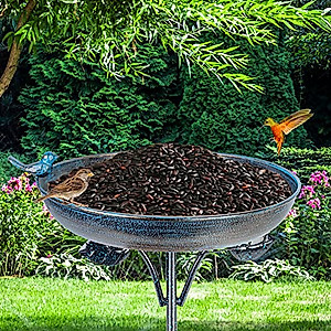 DREAMSOUL Outdoor Garden Bird Bath Metal Bird Baths Cast Iron Birdbath with Metal Stake Tall Bird Bath for Yard Garden Decor