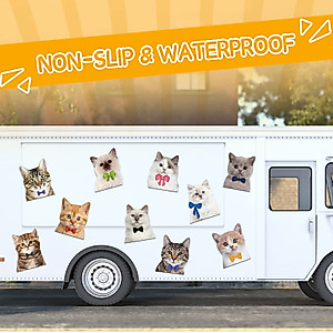 12 Pcs Fun Cat Refrigerator Magnets Cute Fridge Magnets Decorative Funny Cat Fridge Magnets Reusable Magnetic Bumper Sticker Flexible for Kitchen Locker Car Home Whiteboard Office