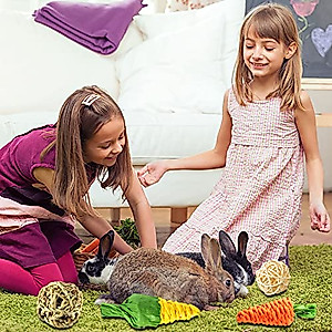 PD Bunny Chew Toys for Teeth, Natural Timothy Grass Small Animal Chew Toys, Mixed Grass and Molar Grass Cake and 2 Balls for Rabbits Chinchilla Hamsters Guinea Pigs Gerbils Groundhog Squirrels（14 pcs）