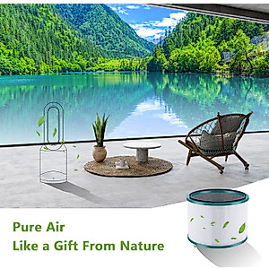 Star Maktion,2 Pack Air purifier filters replacements,High-Efficiency Activated Carbon,Compatible with Dyson DP01、DP03、HP00、HP01、HP02、HP03、Desktop Purifier,part number 968125-03