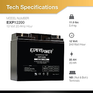 ExpertPower 12 Volt 20 Ah EXP12200 Rechargeable SLA Battery