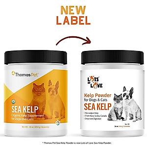 Kelp Powder for Dog & Cat - Organic Sea Kelp Supplement Granules Powder (16 Oz, 1 Pound)