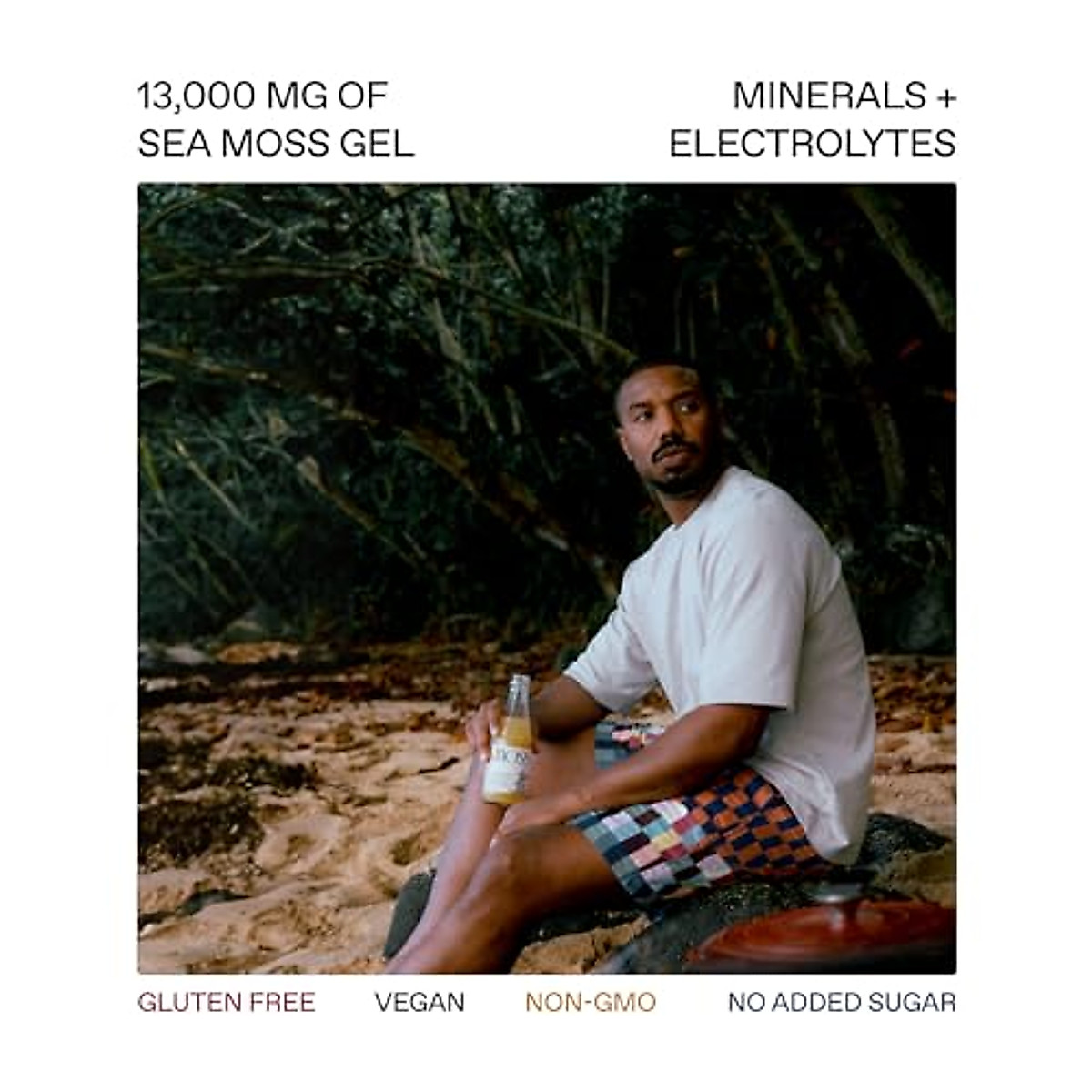 MOSS - Sea Moss Water - 13,000mg of Sea Moss in a Functional Beverage with Reverse Osmosis Water, Trace Minerals, and Electrolytes - Mango Ginger 4pk