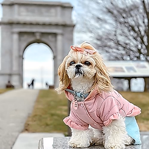 Fitwarm Ruffle Quilted Dog Coat, Pet Puffer Jacket with Hood, Dog Winter Clothes for Small Dogs Girl, Cat Hooded Outfit, Pink, Small