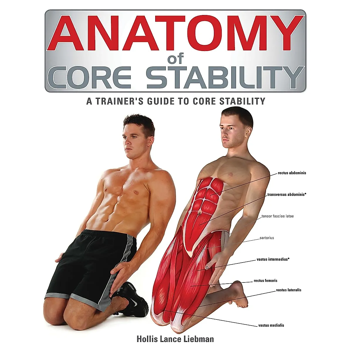 Anatomy of Core Stability: A Trainer's Guide to Core Stability