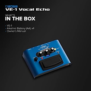 Boss VE-1 Vocal Echo