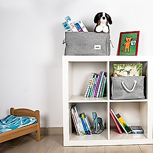 DAE Living Fabric Storage Bins (Set of 2) | Extra Stiff Canvas Fabric | Wire Framed | Fully Lined Interior | Perfect for Clothes, Toys, Shoes, Pet Supplies, Nurseries, Closet and Shelf Storage