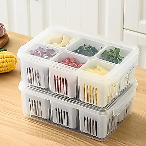 Food Storage Containers with Lids Airtight, Scallion Preservation Box Fridge Fresh-Keeping Container, 6 Grids Draining Crisper Portable Divided Fruit Storage Container Ginger Storage Basket for