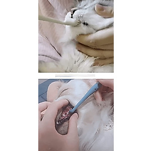 Kitteney Pet Toothbrush for Dogs, Cats with 0.06mm Super Soft Bristles, Head Replaceable, Double Headed Toothbrush for Small to Large Teeth, Easy Teeth Cleaning & Dental Care (Blue)