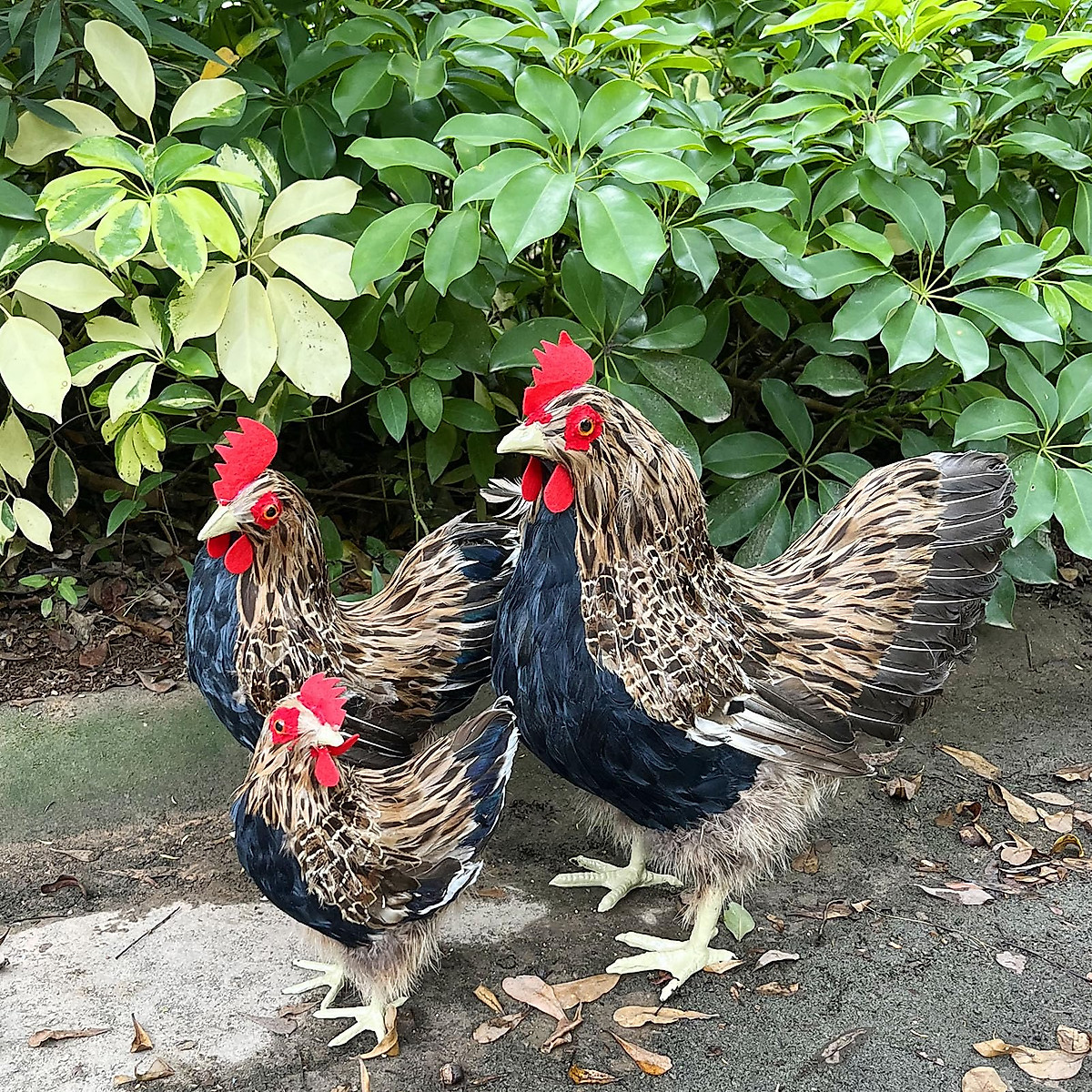 LWINGFLYER Artificial Feather Hen Chicken Statue Ornaments DIY Craft for Home Wedding Easter Decoration Farm Garden Decor Figurines Party Decor Teaching Props (S)