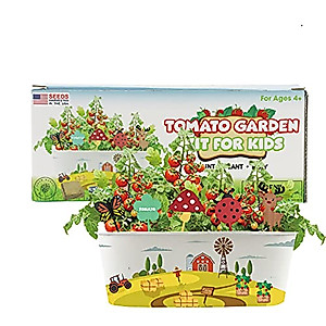 Paint and Plant Tomato Garden Kit for Kids - Complete Indoor Growing Gardening Set with Tomato Seeds for Kids to Plant by Grow Margo