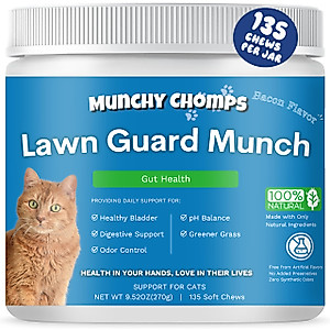 Munchy Chomps Lawn Guard Munch for Cats - Supports Urinary Tract & Gut Health - Prevents Yellow Spots on Grass - with DL-Methionine, Fiber & Probiotics (Bacon)