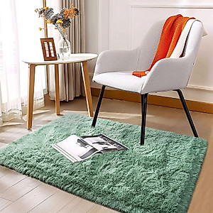 Fluffy Rug for Living Room Shaggy Soft Area Rug Mint Green Fuzzy Rug Non-Slip Indoor Floor Carpet, Rectangle 2x3 Feet