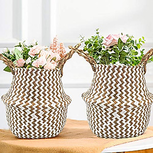 Nicunom 2 Pack Seagrass Belly Basket White Zigzag Pattern, 11 Inch Foldable Hand Woven Plant Basket with Handles, Storage Laundry, Picnic, Beach Bag, Plant Pot Cover for Home Decor