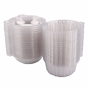 50 jumbo individual cupcake containers large Strong Quality Clear individual Cupcake and Muffin Containers plastic disposable single Compartment cupcake containers individual jumbo cupcake containers)