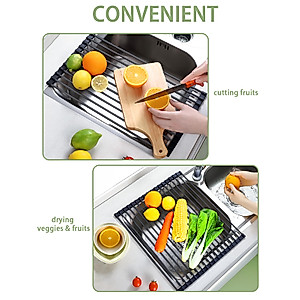 VICEAXY Roll-Up Dish Drying Rack 17” x 13”, Stainless Steel with Silicone Wrapped Drainer Rack, Foldable Sink Rack Mat for Kitchen Dishes, Cups, Fruits, Vegetables (M, Black)