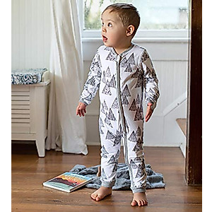 Burt's Bees Baby baby boys Romper Jumpsuit, 100% Organic Cotton One-piece Coverall and Toddler Footie, Penned Peaks Zip, 3 Months US