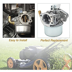 798653 Carburetor for Briggs & Stratton 791077 696981 698860 698474 791991 694174 591299 Craftsman Carb