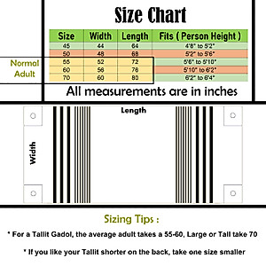 Ateret Judaica Full Size Tallit Prayer Shawl with Matching Bag, Certified Kosher, Blessing On Neckband.Design&Made in Israel. (Size 55-72 x 52 Inch, Black & Silver)