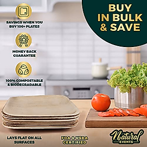 Natural Events 6" Premium Palm Leaf Plates - Disposable Party Set for Charcuterie Appetizers & Desserts, Heavy Duty Bamboo Wood, 100% Compostable, Biodegradable & Eco-Friendly (6 Inch Square, 50 Pack)
