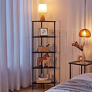 HOOBRO Corner Shelf, Industrial 5-Tier Wall Corner Bookshelf with Metal Frame, Corner Shelf Stand Display Plant Flower, Corner Bookcase for Small Spaces, Bedroom, Living Room, Black BK33CJ01
