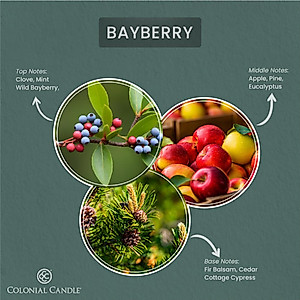 Colonial Candle Bayberry Scented Jar Candle, 2 Wick, 3.5 oz, Mottled Wax Candle
