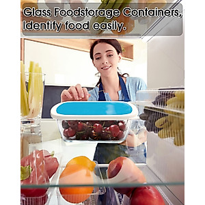 NUTRIUPS 1 QT Square Glass Baking Dish with Lid, 6x6 Baking Dish for Oven, Small Glass Food Bakeware