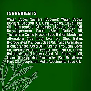 MAJESTIC PURE Tea Tree Body Wash - Formulated to Combat Dry, Flaky Skin - Soothes, Nourishes and Moisturizes Irritated, Chapped, Problem Skin Areas - (Packaging may Vary) -16 fl. oz.