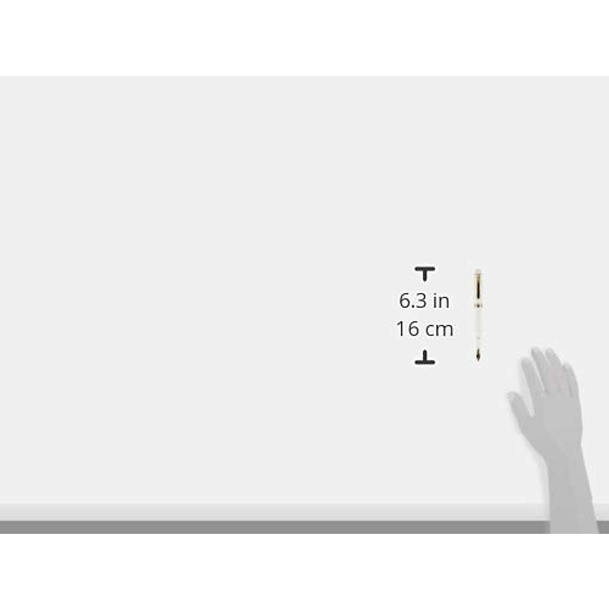 Platinum Fountain Pen #3776 Century (Extra Fine, Chenonceau White)