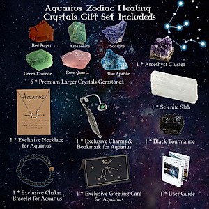 Aquarius Crystals and Healing Stones Set, 14pcs Zodiac Aquarius Gifts for Women Birthstone Charms, Chakra Gemstones Real Crystals Set for Spiritual Astrology Decor Horoscope Birthday Gift Kit