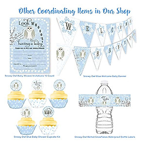 Snowy Owl Blue Welcome Baby Banner - Winter Baby Shower Supplies - Winter Baby Shower Decorations - Snowflake Baby Shower Supplies - Blue Baby Shower Decorations - Blue Shower